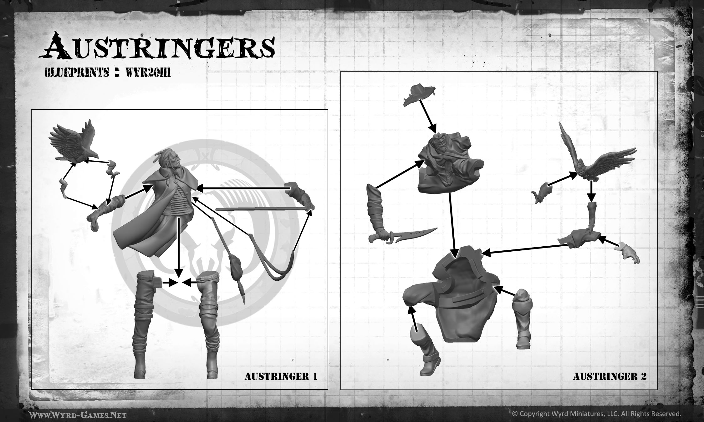 Austringer — BiggerHat